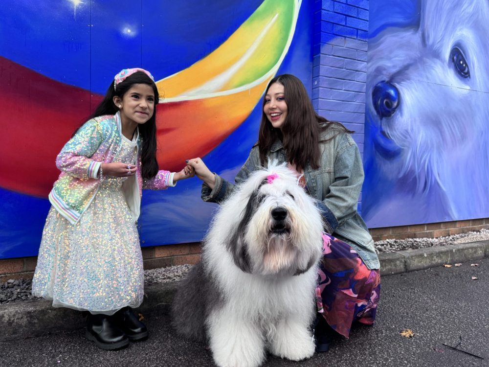 AkzoNobel Gives Langley Pavilion New Lease of Life - Buildingtalk